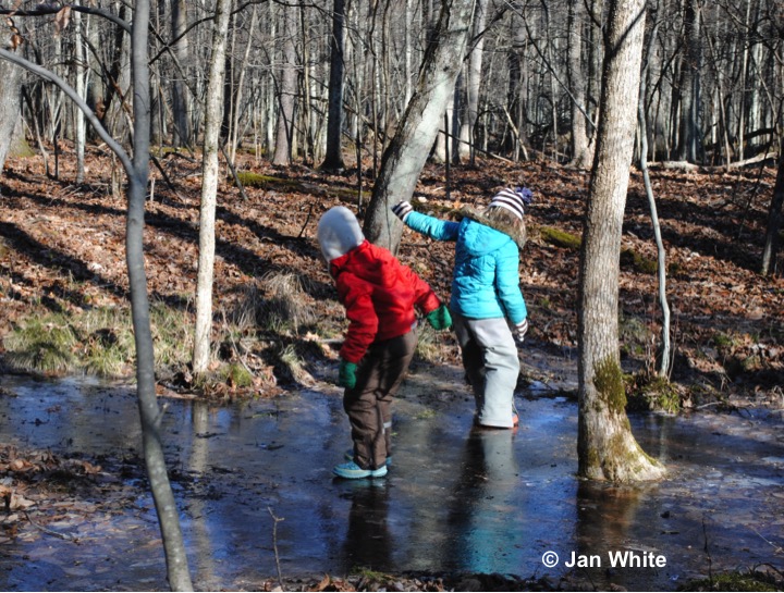 Supporting autonomy in early childhood settings: The whys and hows ...