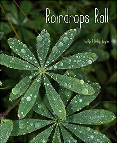 Rain makes play! - Early Childhood Outdoors