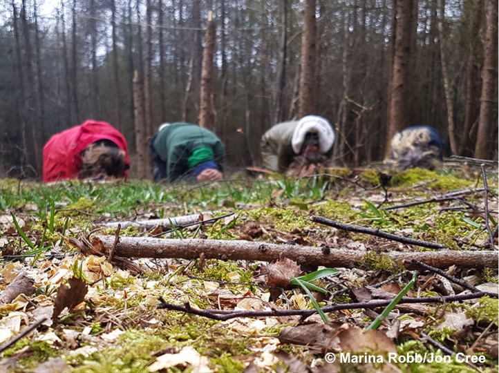 A complete guide to forest school provision and nature pedagogy - Early ...